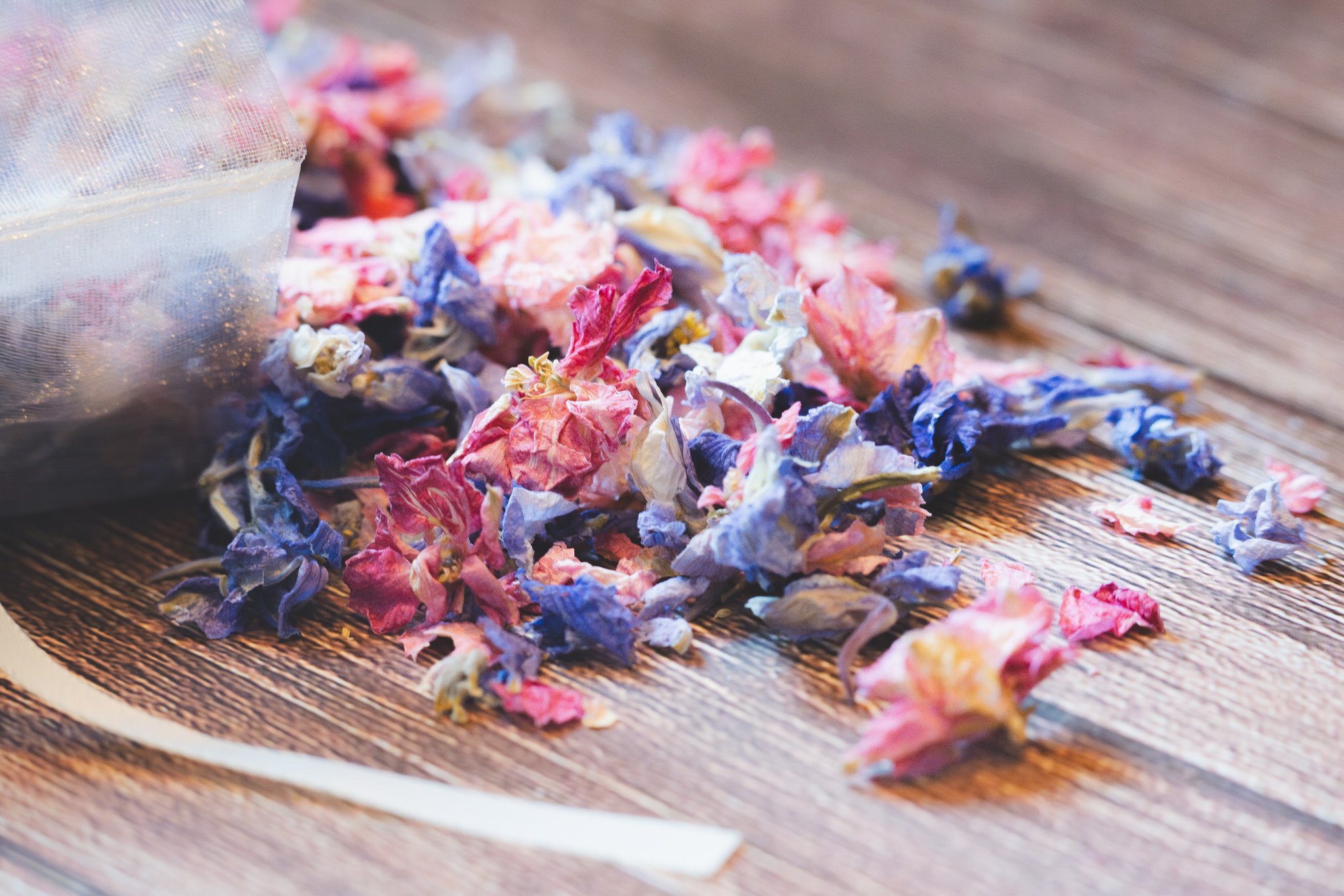 The Wonderful World of Confetti — Ben Fitzhugh Photo