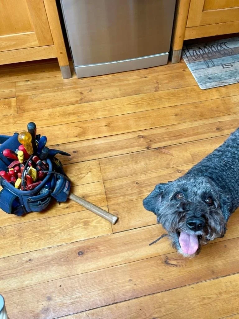 About Us — Les Thompson & Co Ltd