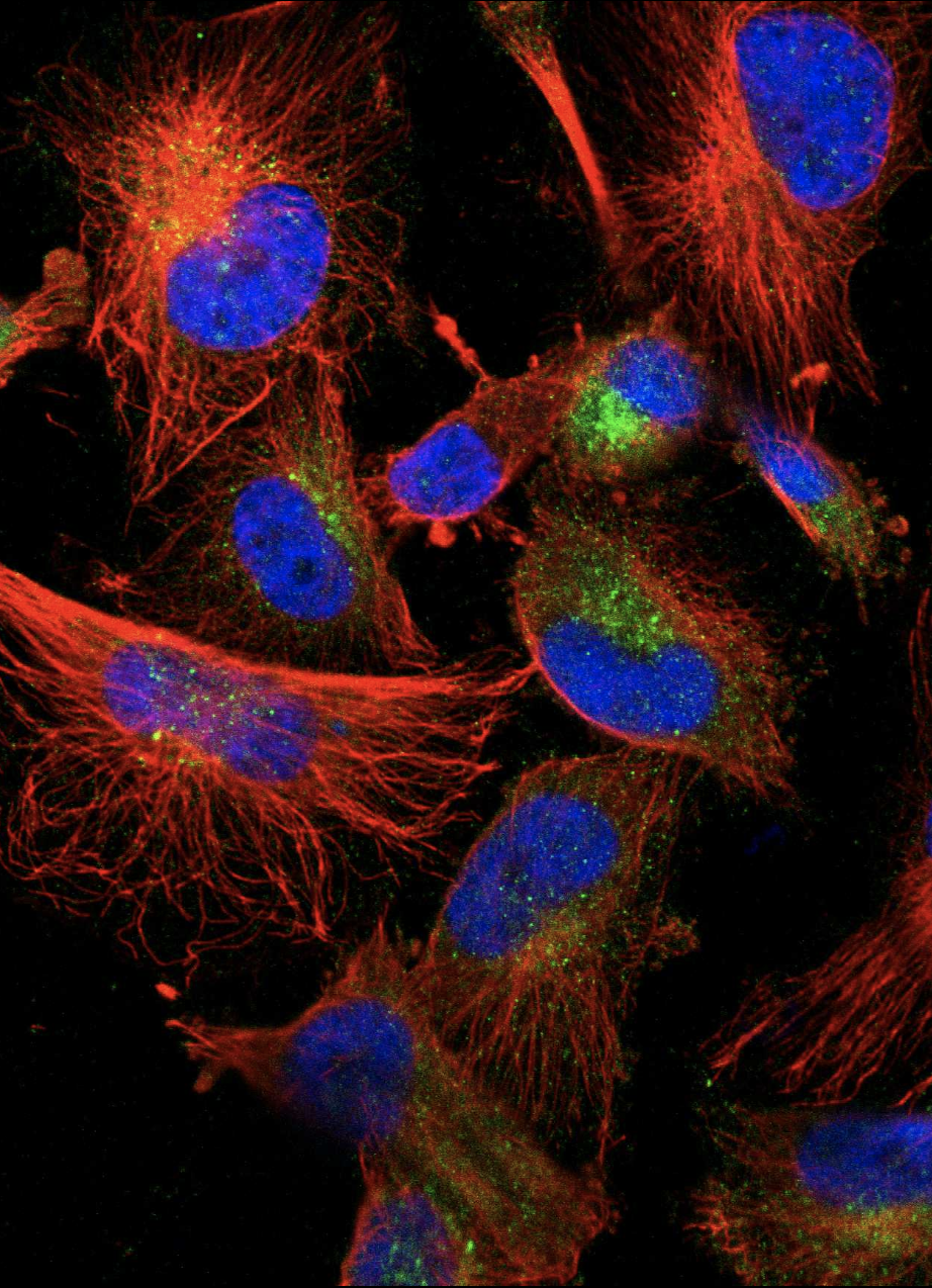 Meet Mariana Martins | Pitch Science