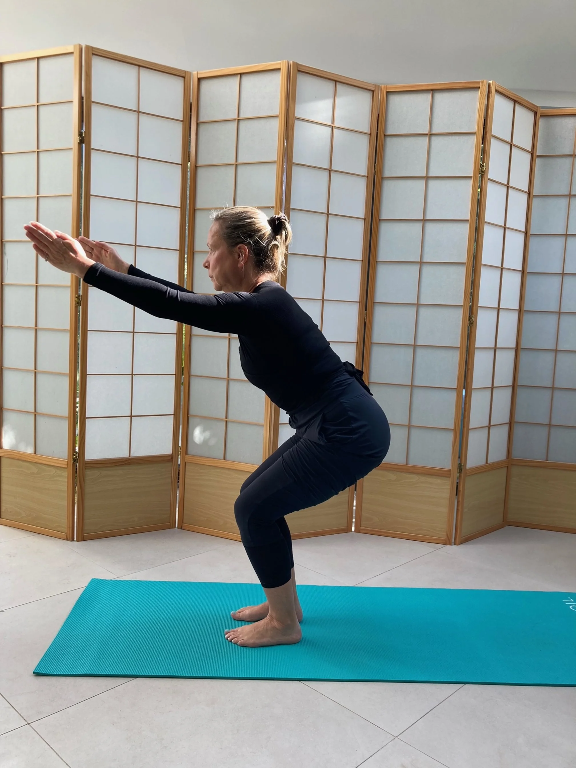 The Bees Knees Exercises — COMPANION PILATES AND YOGA