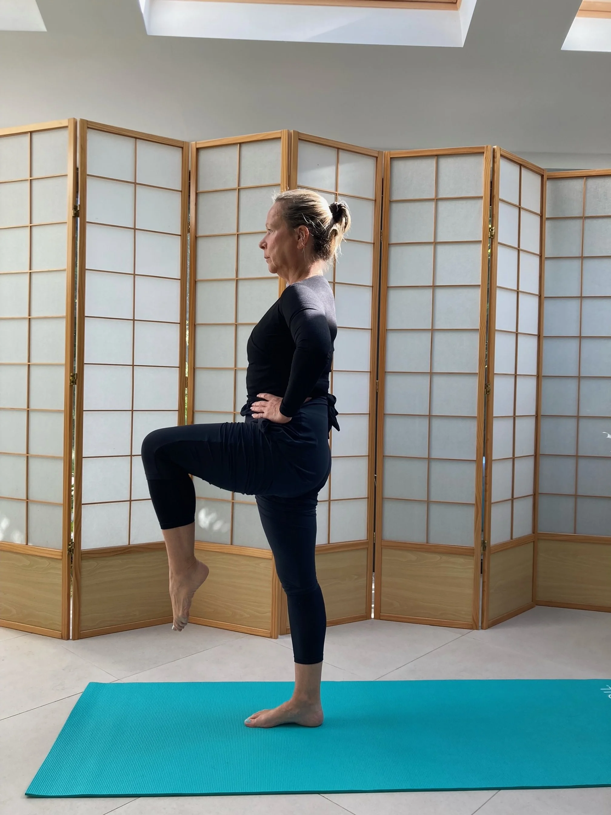 The Bees Knees Exercises — COMPANION PILATES AND YOGA
