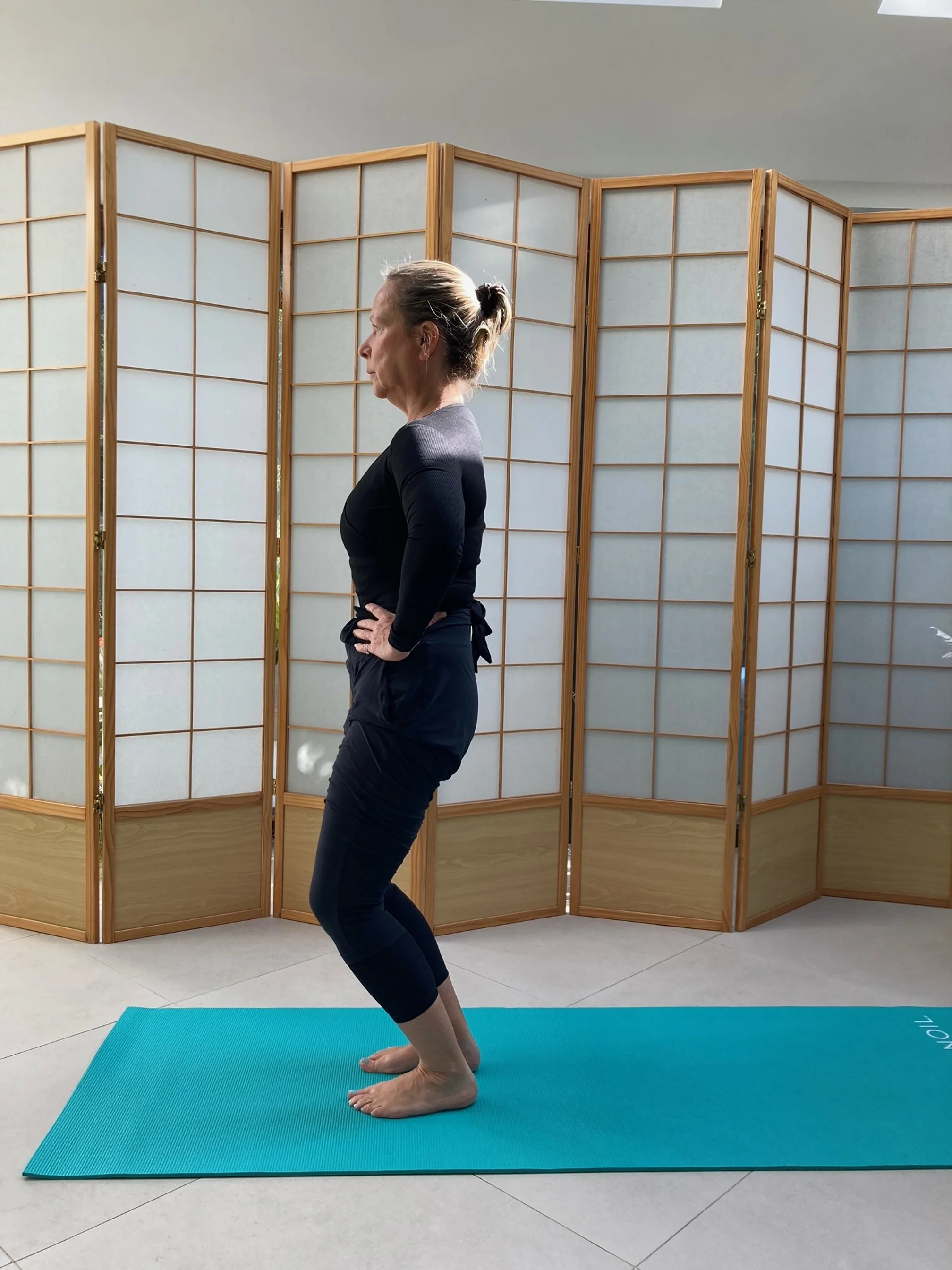 The Bees Knees Exercises — COMPANION PILATES AND YOGA