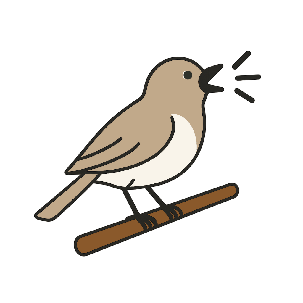 Birdwatching Slang | Weekend Birder