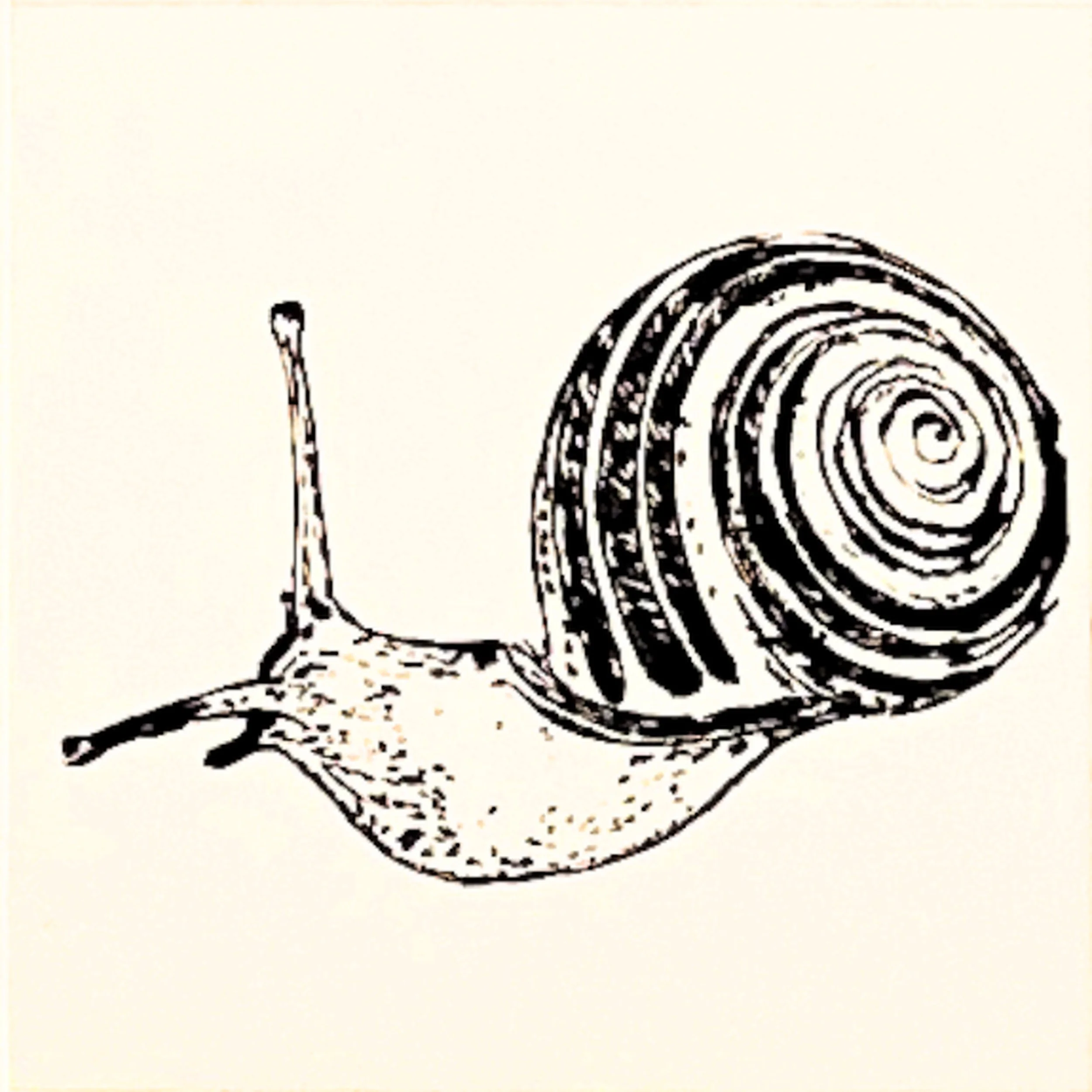 Art Works — Michelle Hinshelwood