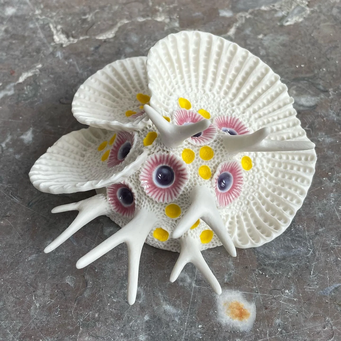 Coral Moons — seaurchin