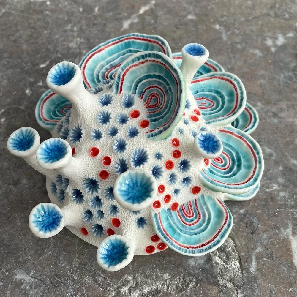 Coral Moons — seaurchin