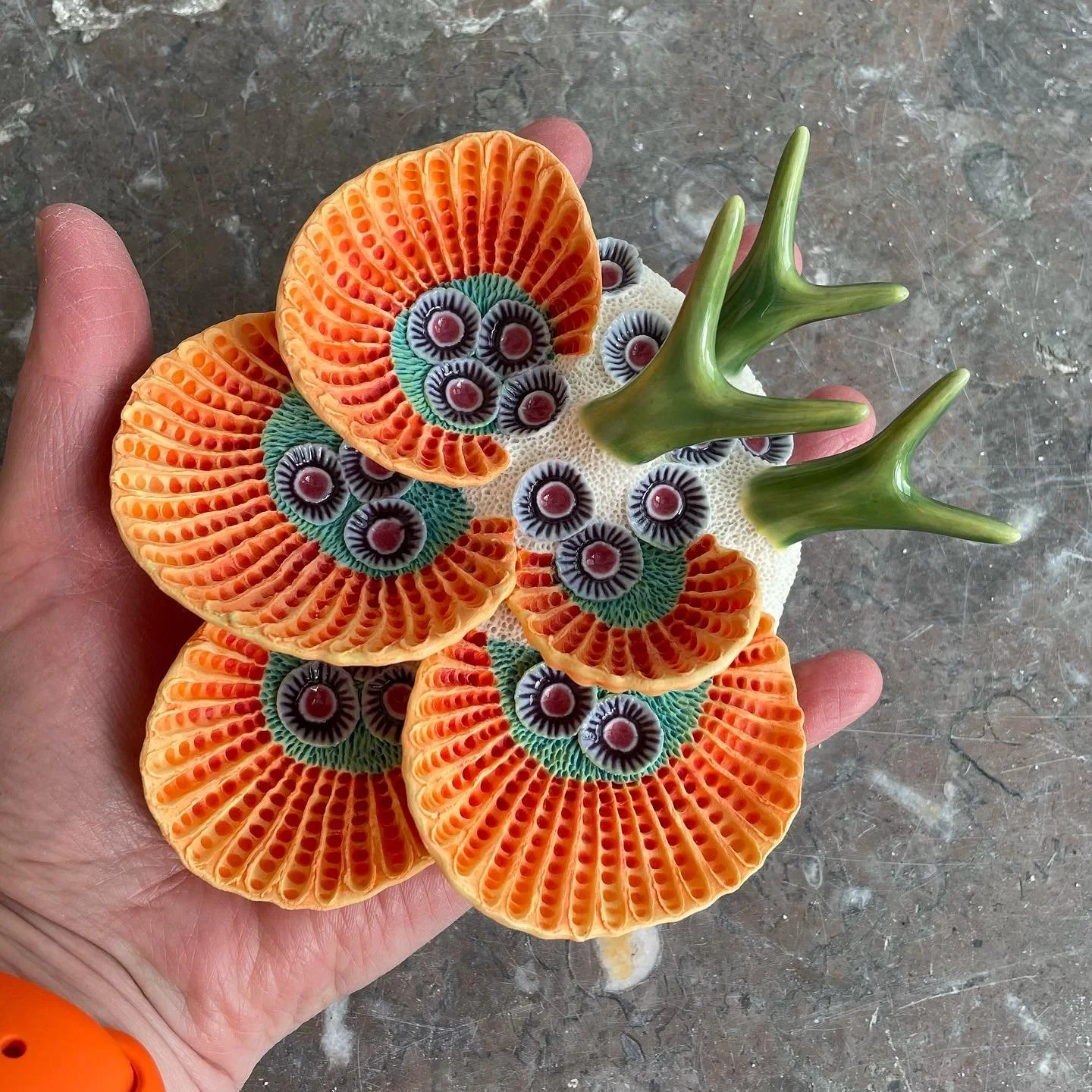 Coral Moons — seaurchin