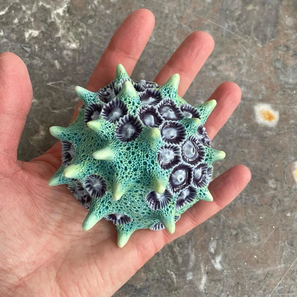 Coral Moons — seaurchin