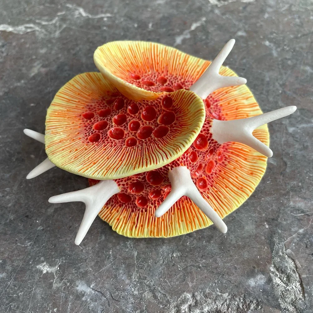 Coral Moons — seaurchin