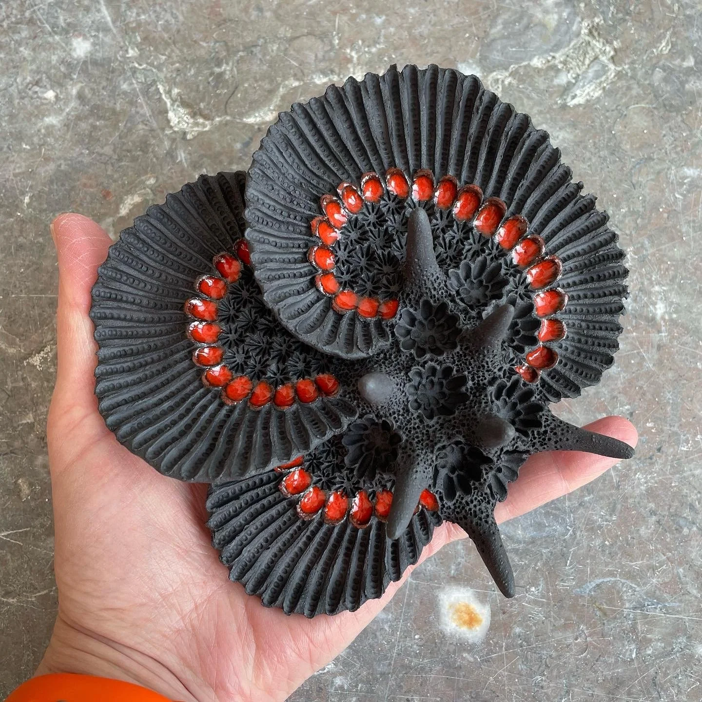 Coral Moons — seaurchin