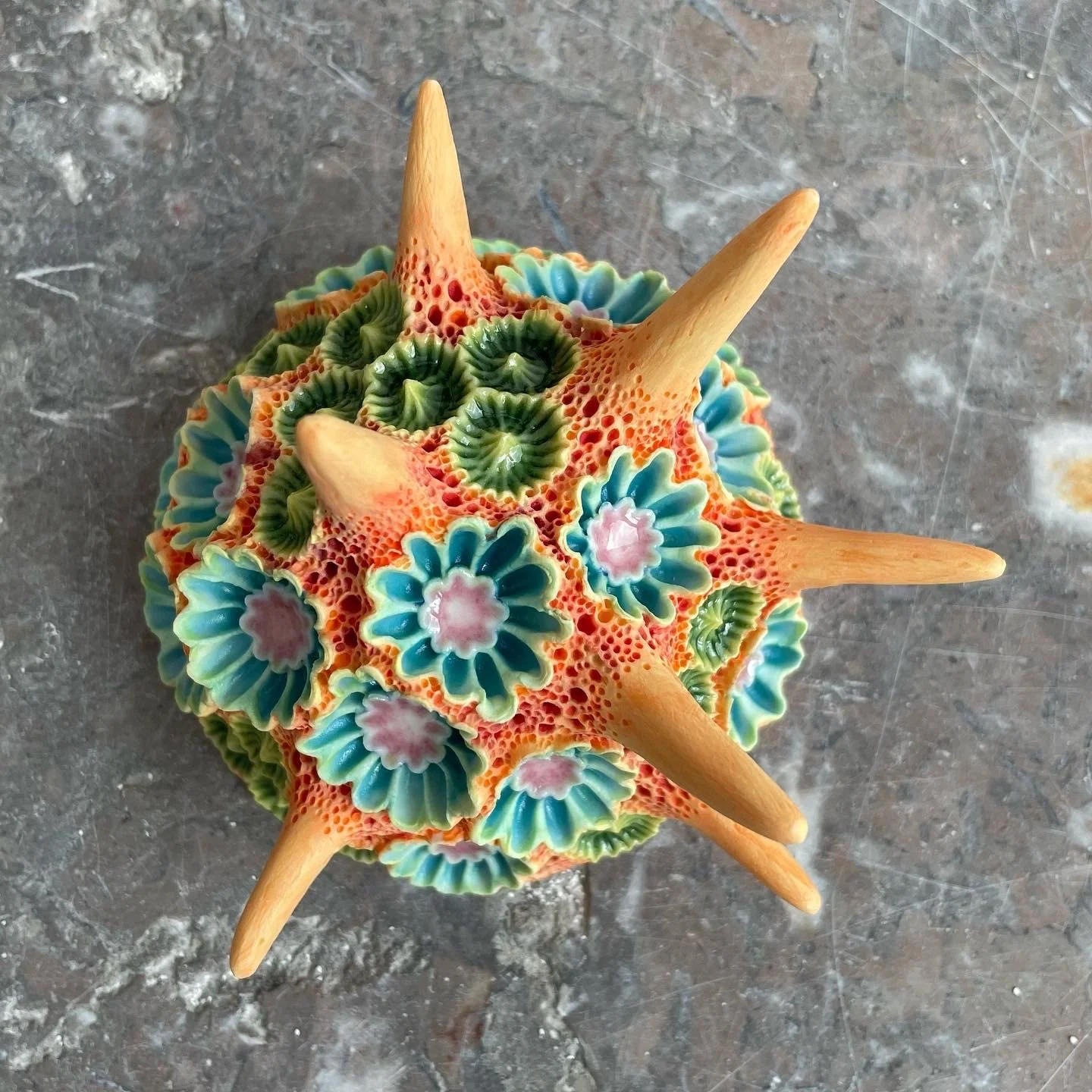 Coral Moons — seaurchin