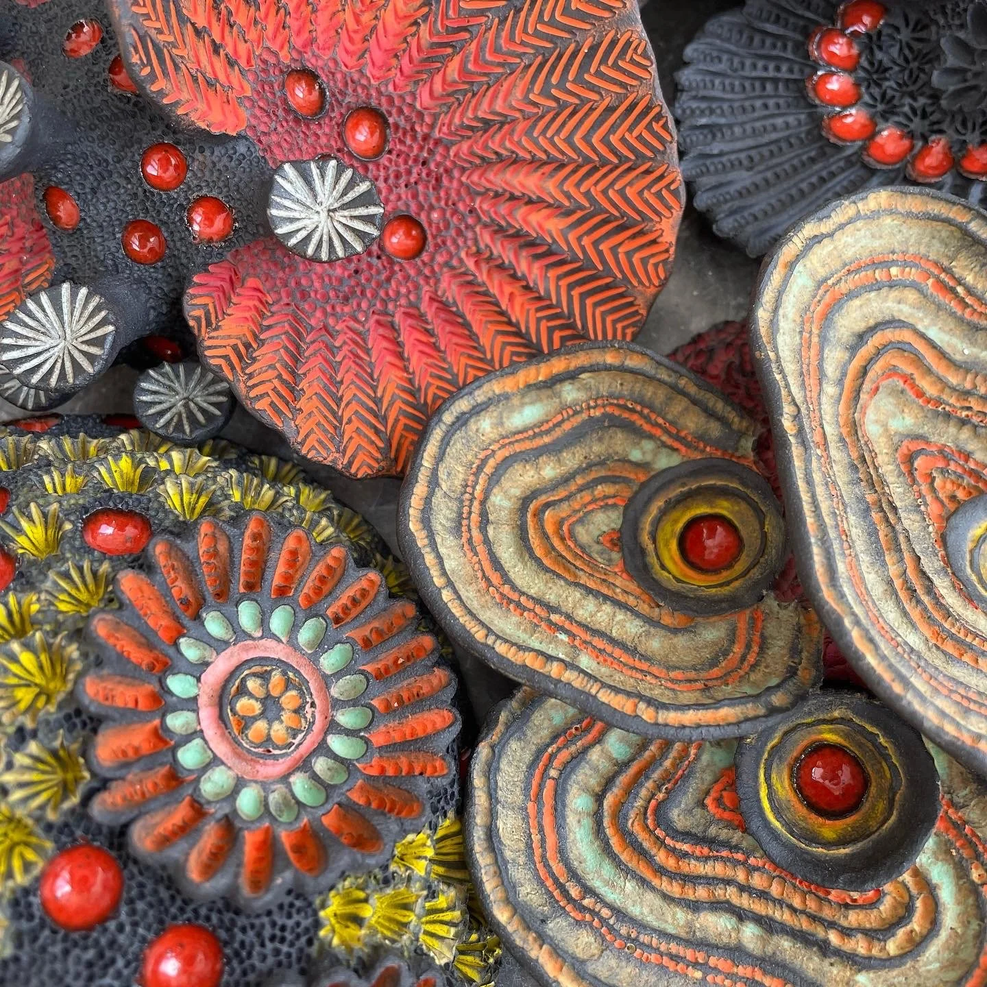 Coral Moons — seaurchin