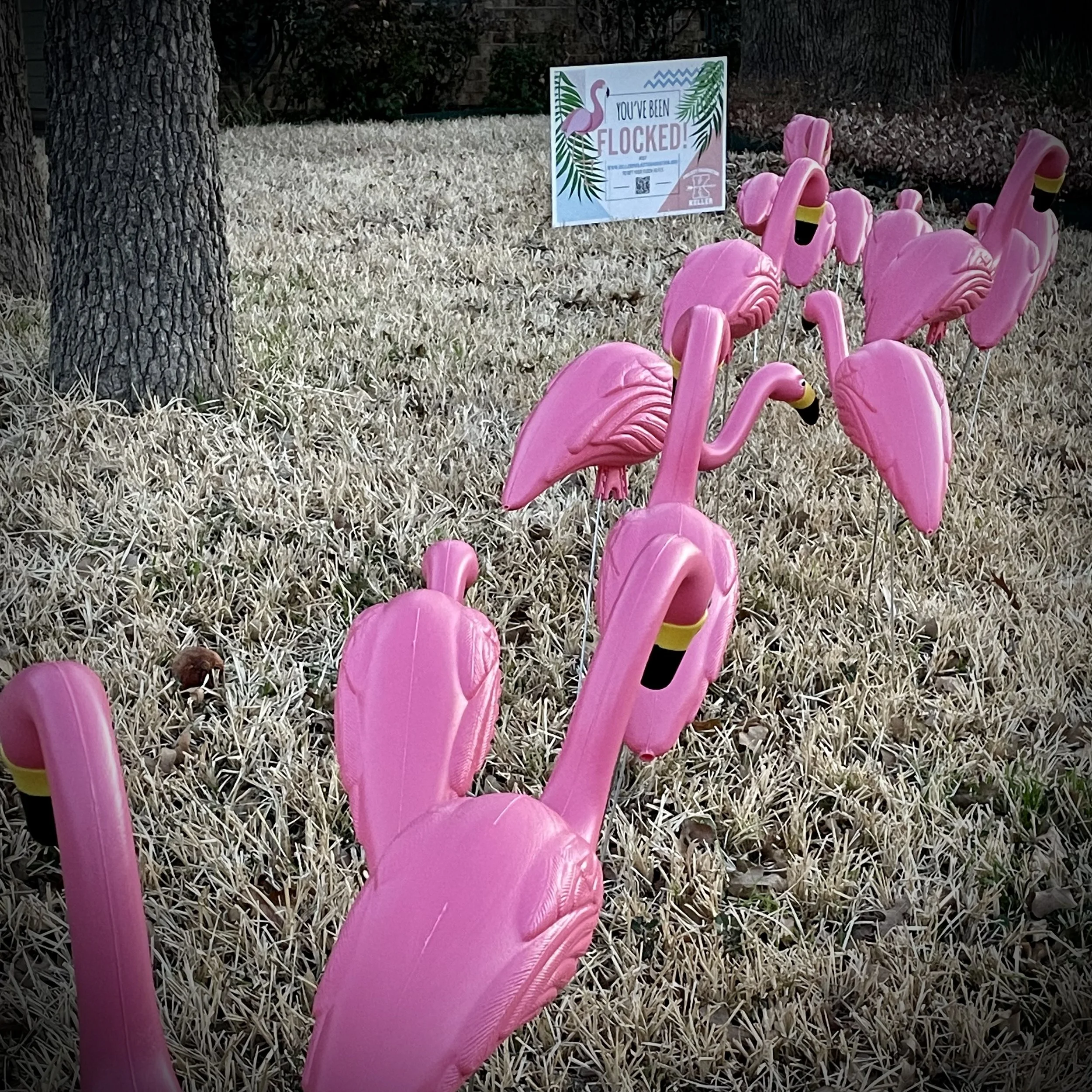 Keller High Project Graduation 2024