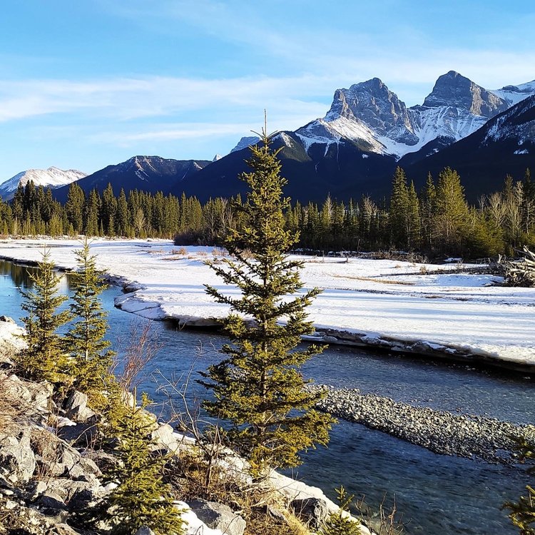 Rooms & Rates — Lady Macdonald Country Inn