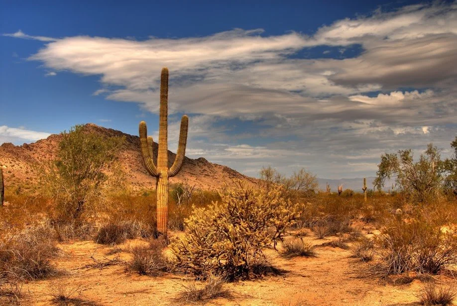 Creative Ecologies — Land Art Agency And Collective