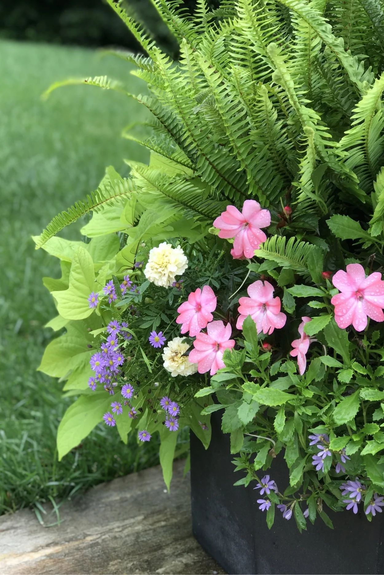 Container Garden Recipes for Every Season — Contained Creations