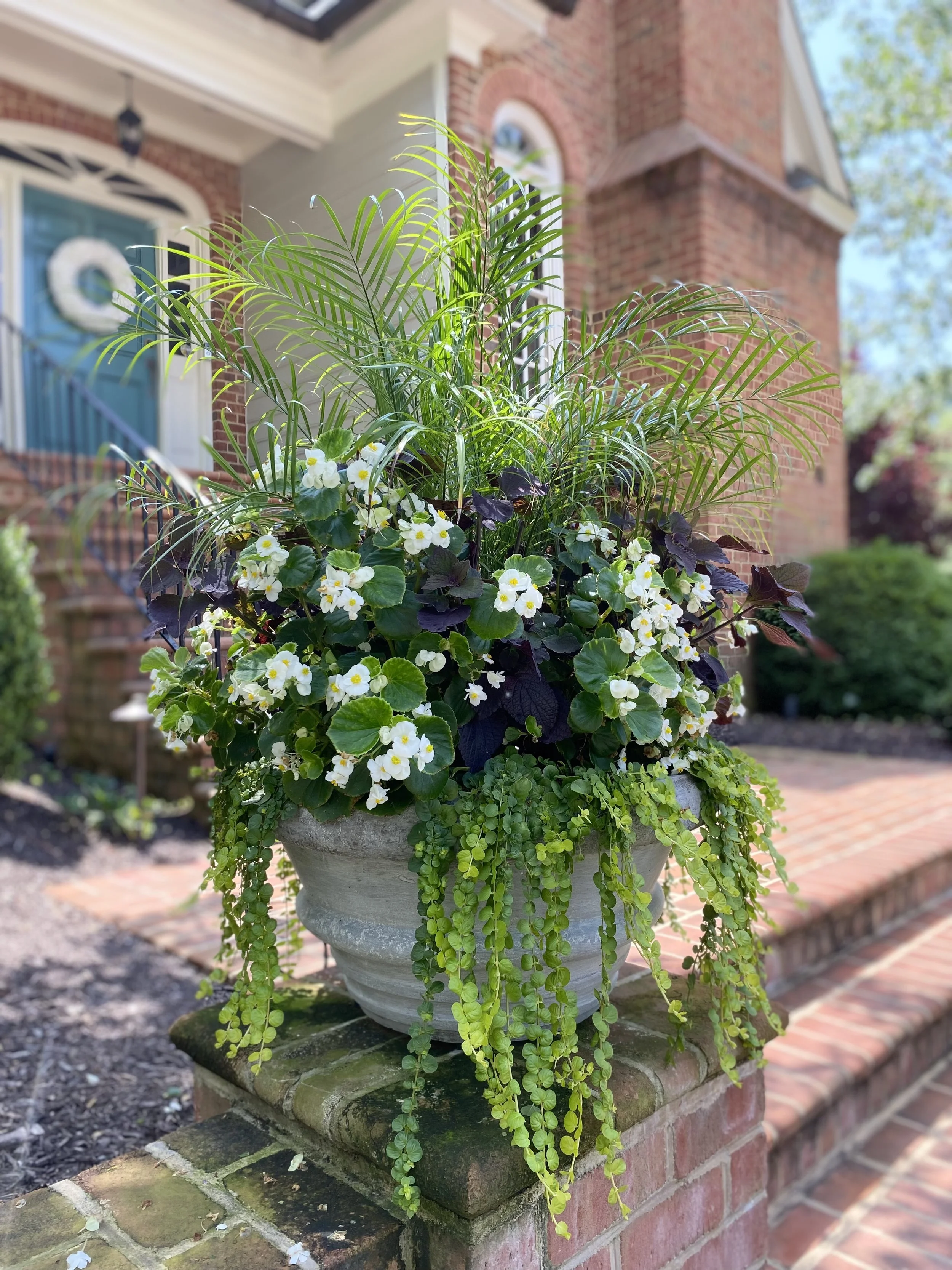 Contained Creations - Container Gardening Education, Inspiration & Sources