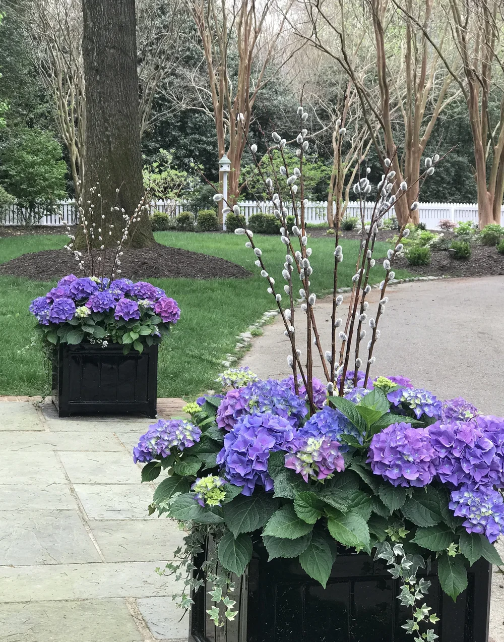 Container Gardening Inspiration for Every Season — Contained Creations