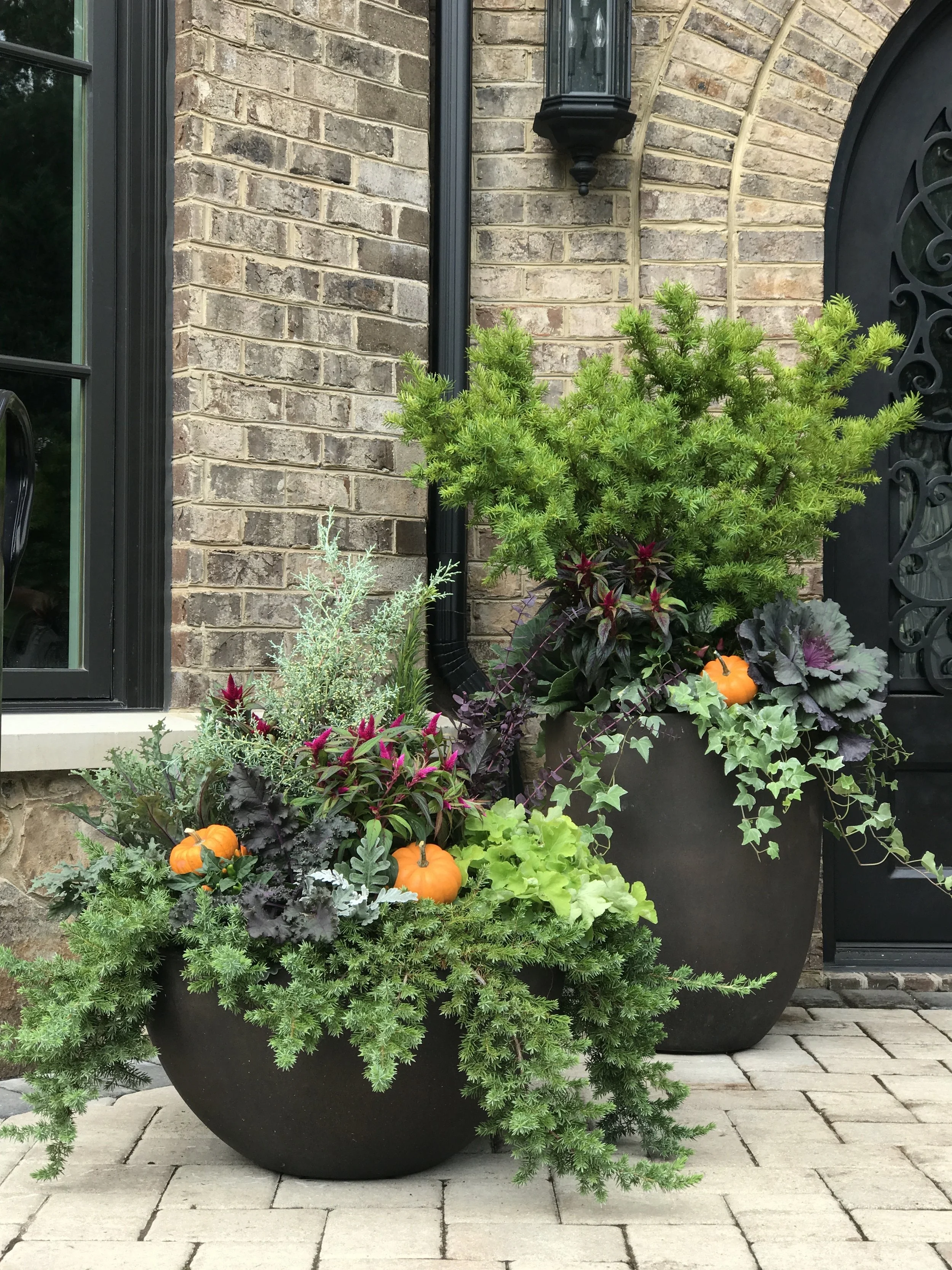 Container Gardening Inspiration for Every Season — Contained Creations