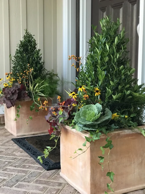 Container Garden Recipes for Every Season — Contained Creations