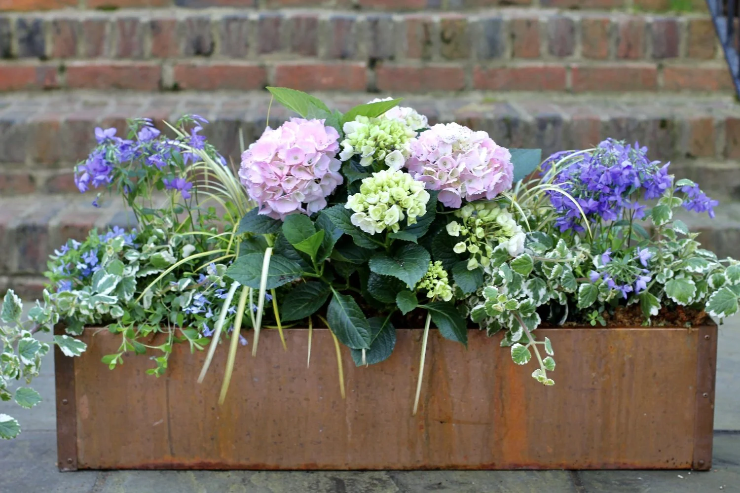 Spring Planters, Container Gardens & Window Boxes — Contained Creations