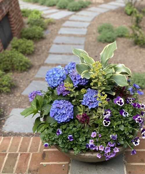 Container Garden Recipes for Every Season — Contained Creations