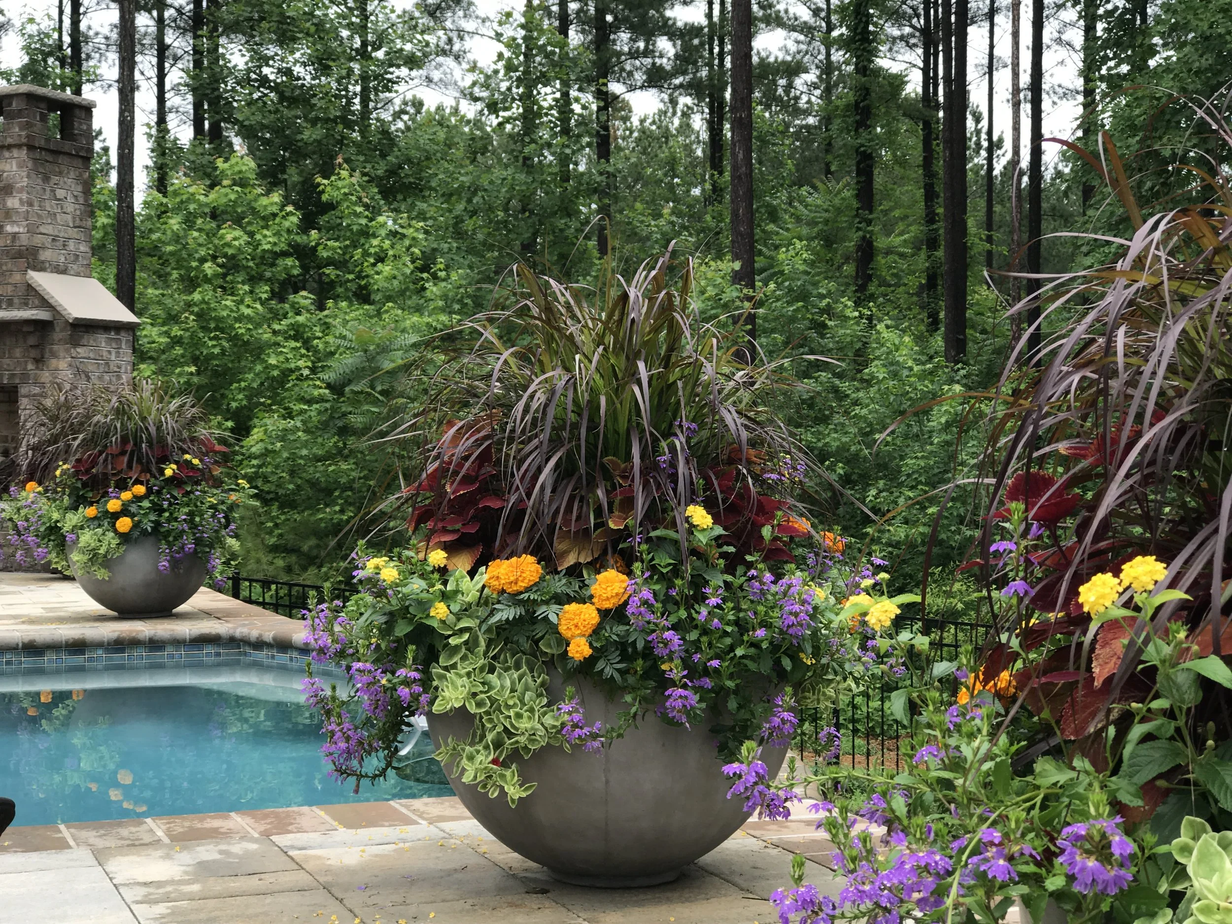 Container Garden Recipes for Every Season — Contained Creations