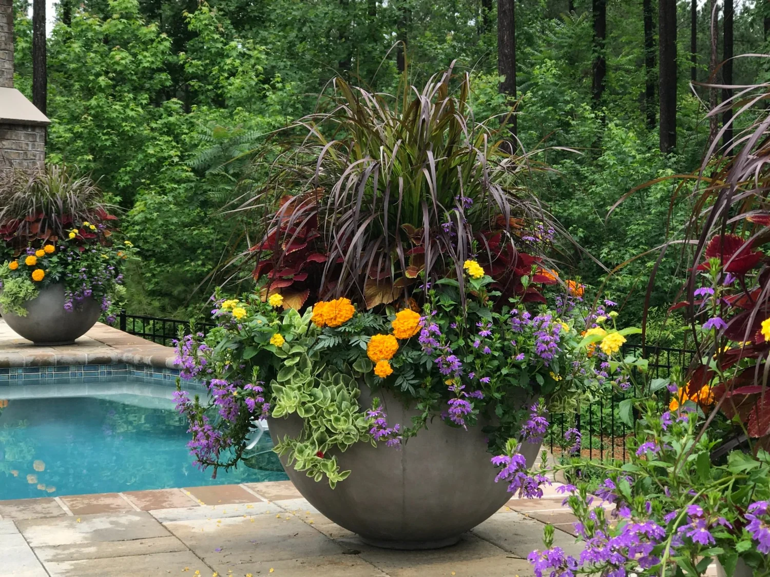 Container Garden Recipes for Every Season — Contained Creations