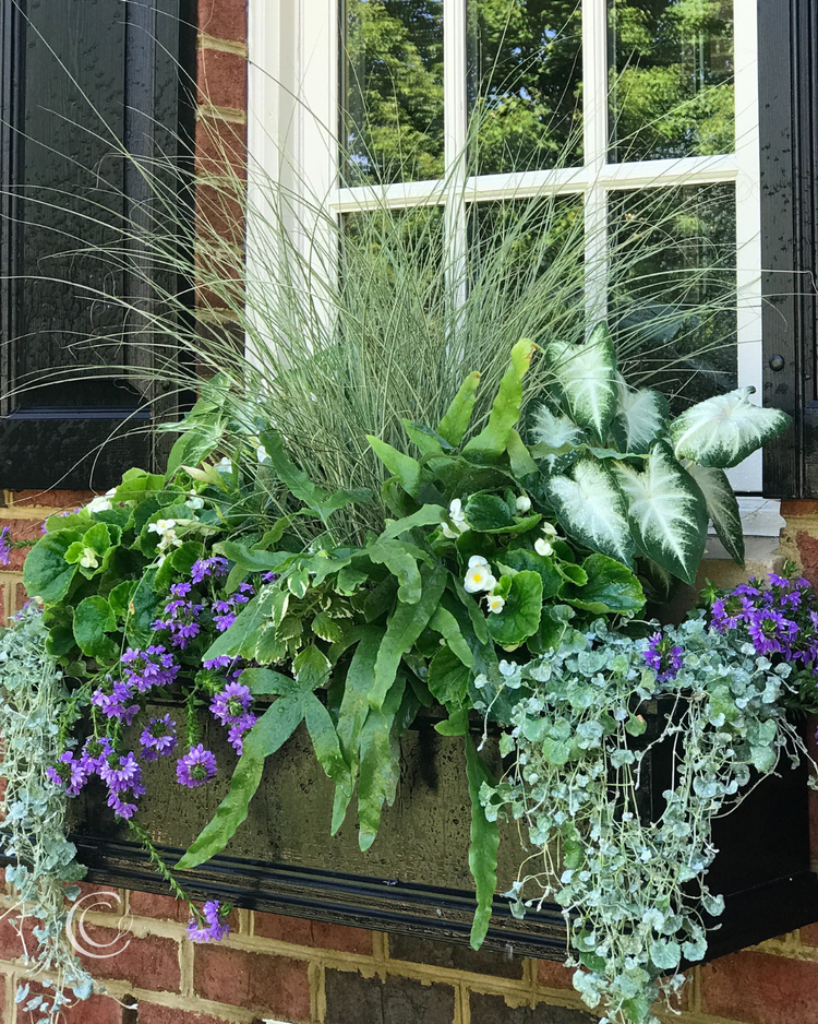Container Garden Recipes for Every Season — Contained Creations