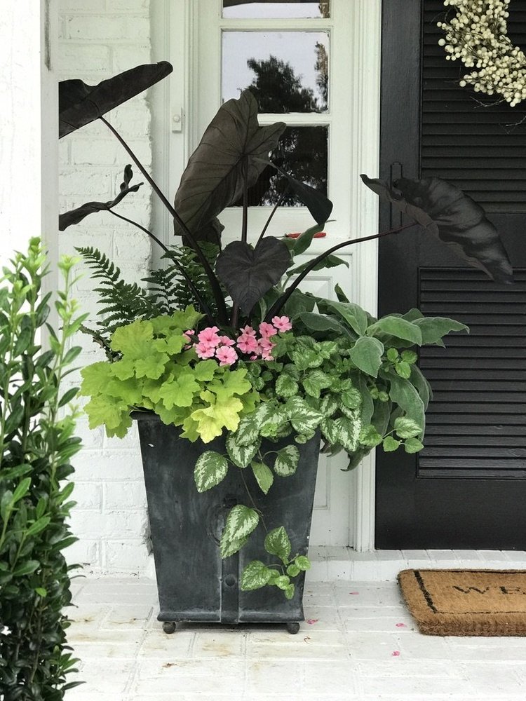 Container Garden Recipes for Every Season — Contained Creations
