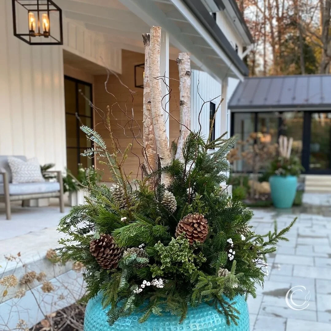 Summer Planters, Container Gardens & Window Boxes — Contained Creations