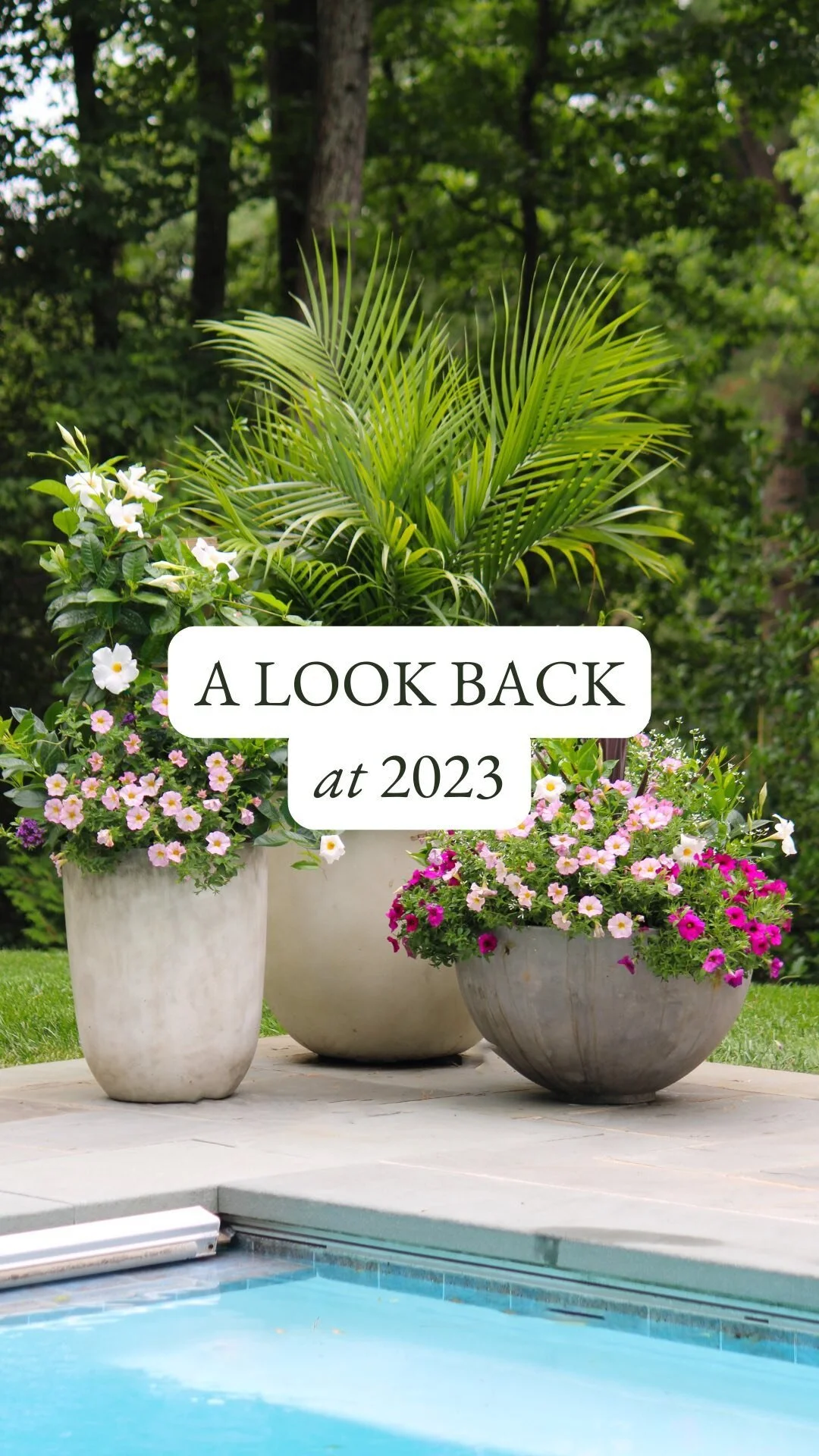 Using Evergreens in Container Gardens — Contained Creations