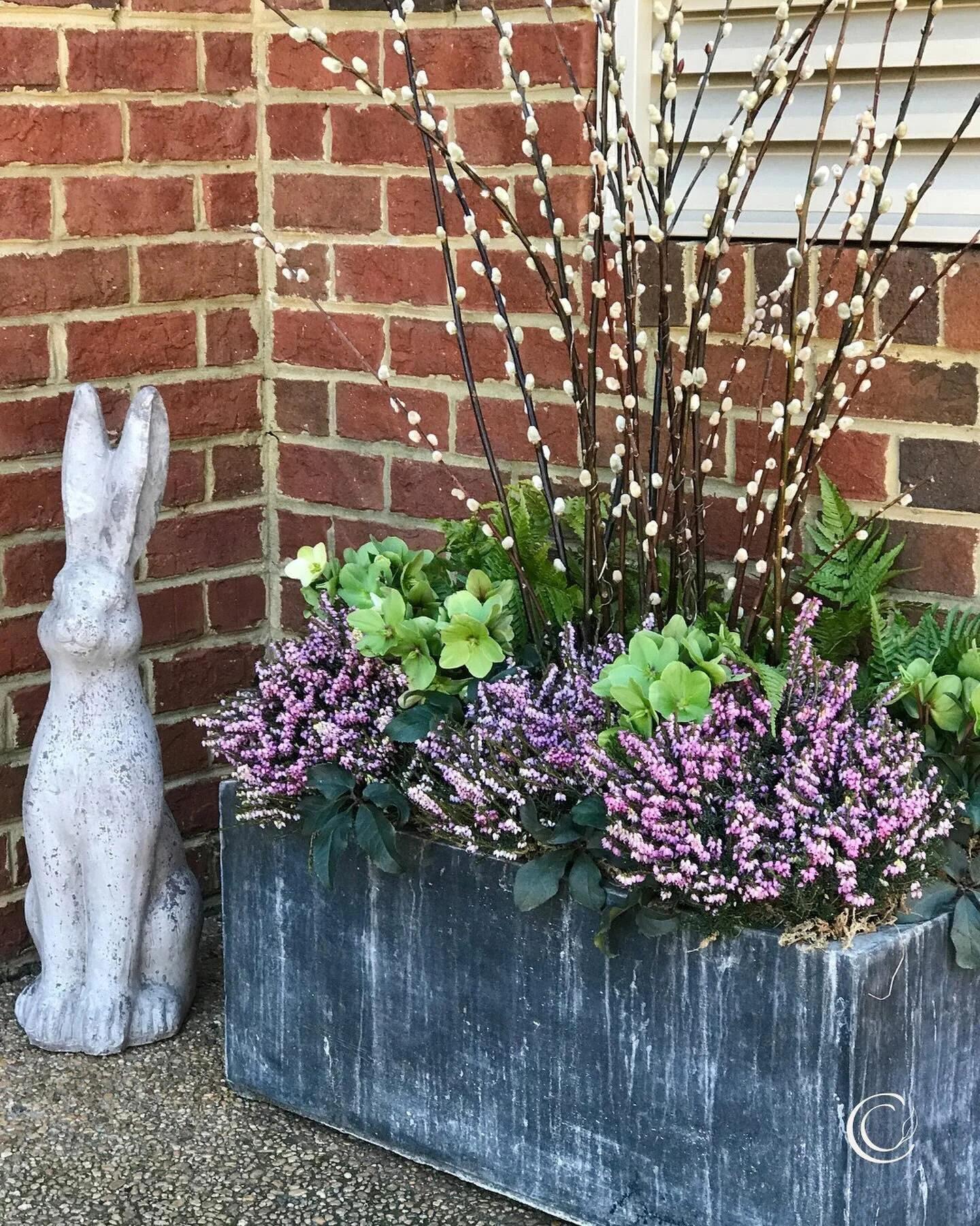 Summer Planters, Container Gardens & Window Boxes — Contained Creations