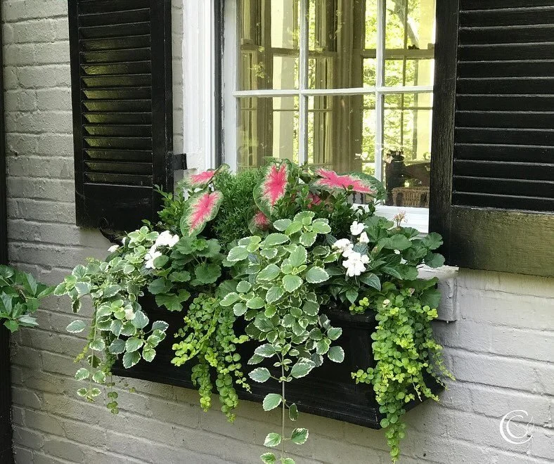 Window Boxes 101: How to Add Flower Boxes for Instant Curb Appeal ...