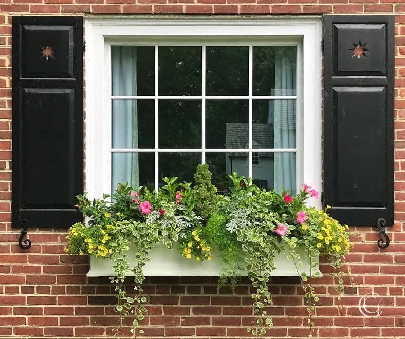 Window Boxes 101: How to Add Flower Boxes for Instant Curb Appeal ...