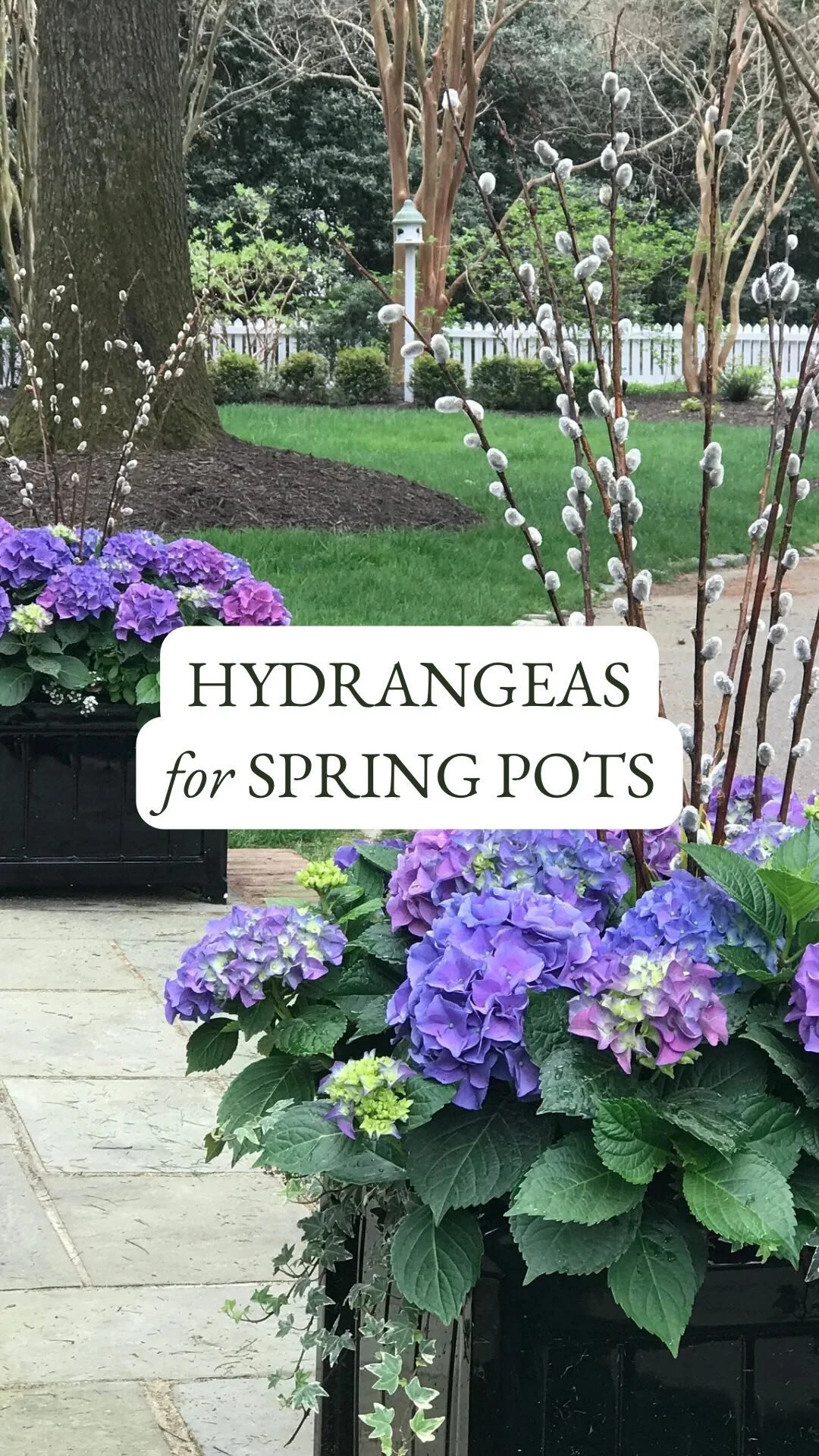 Creating Stylish Dish Gardens to Beautify Any Indoor Decor — Contained ...