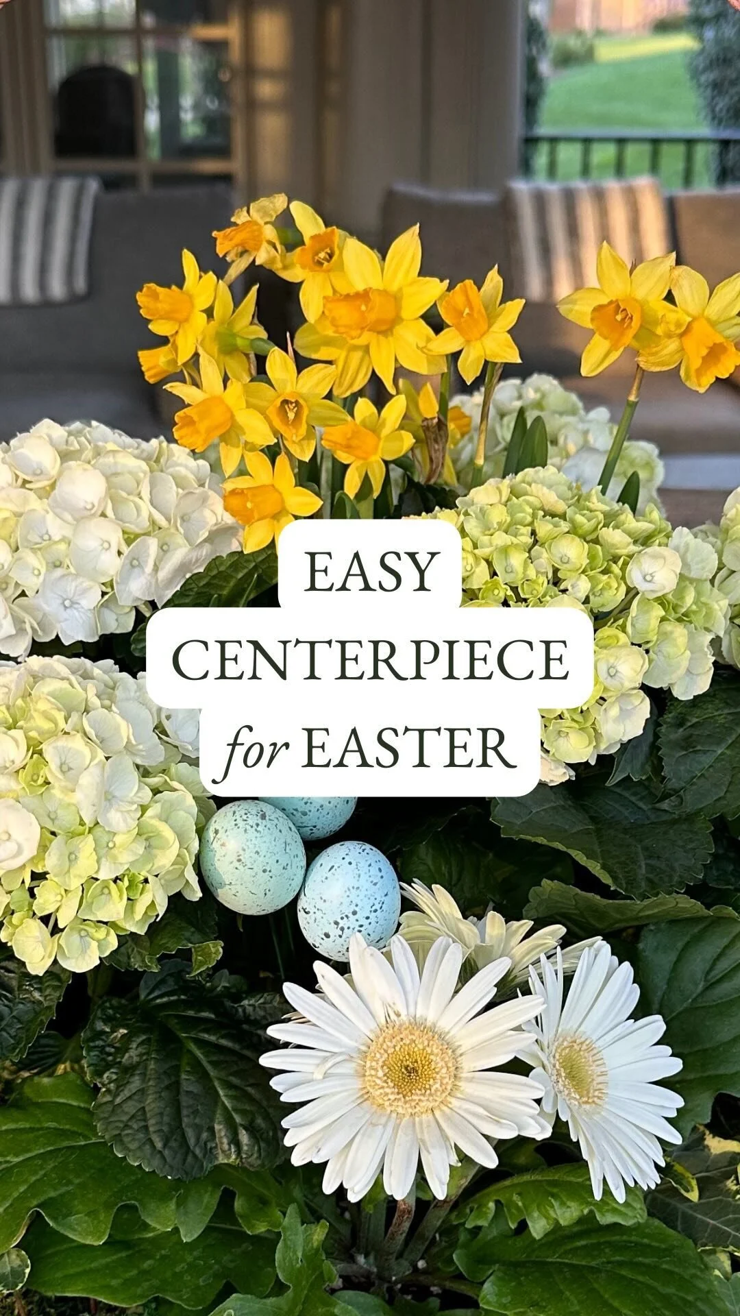 Creating Stylish Dish Gardens to Beautify Any Indoor Decor — Contained ...