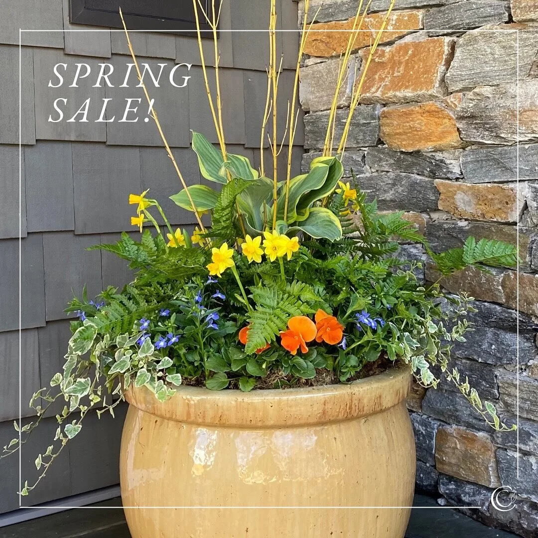 Spring Planters, Container Gardens & Window Boxes — Contained Creations