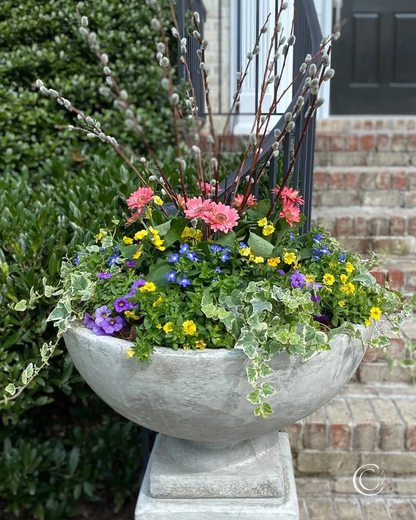 Spring Planters, Container Gardens & Window Boxes — Contained Creations