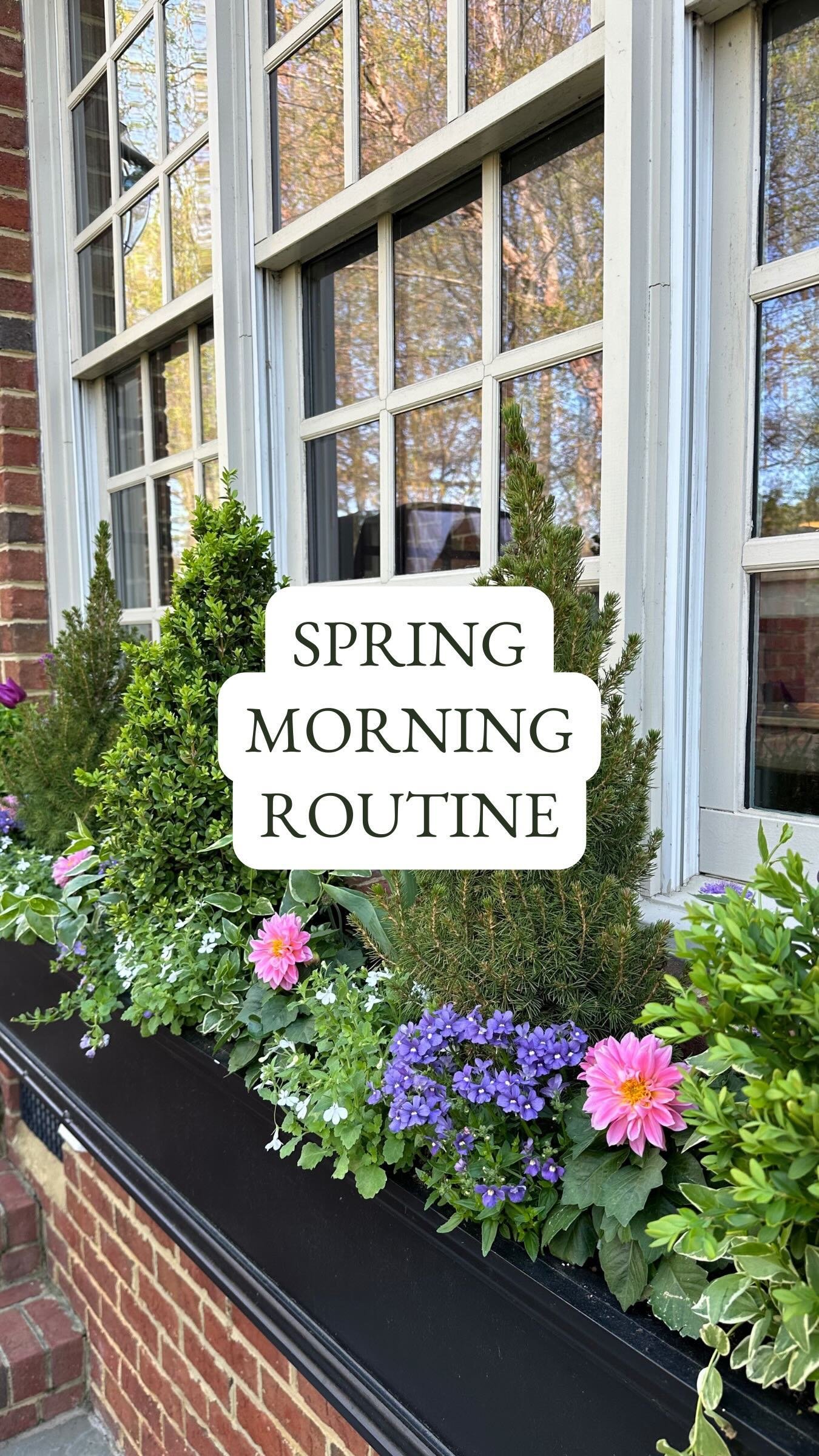 5 Ways to Care for Spring Container Gardens — Contained Creations