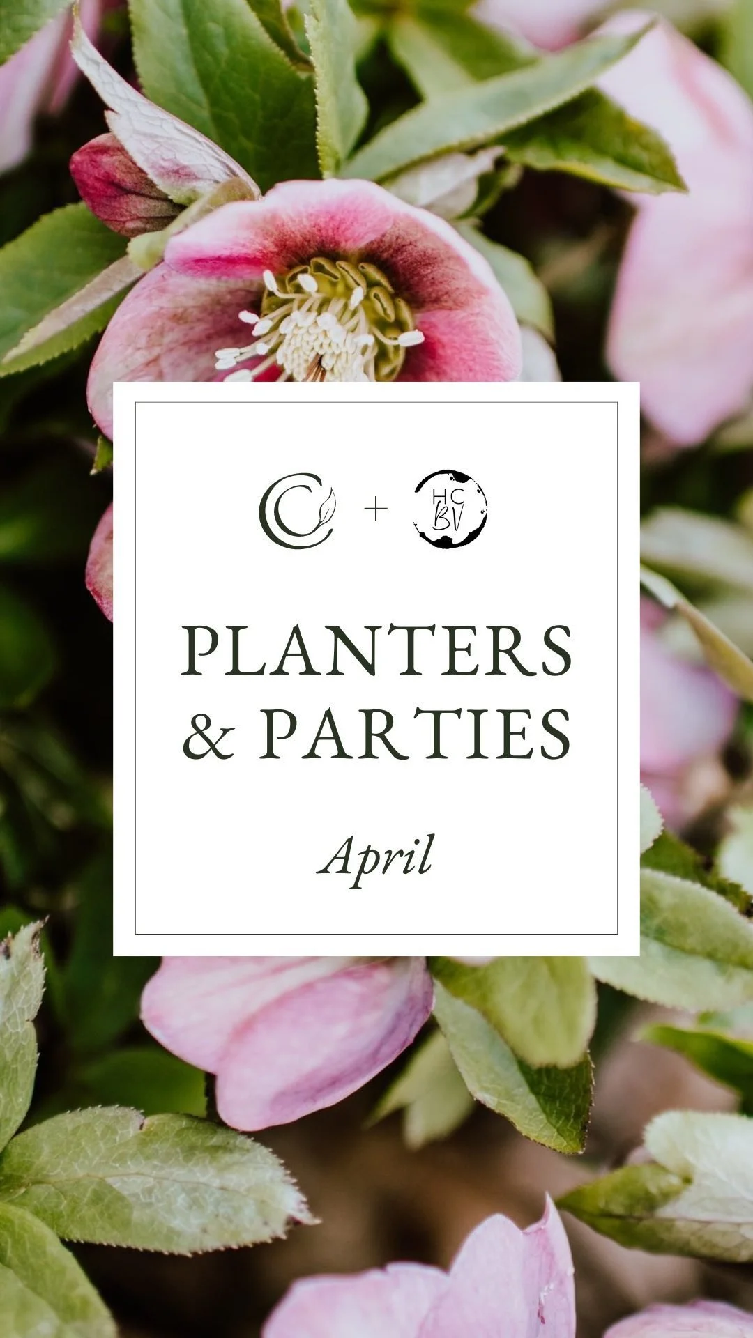 Window Boxes 101: How to Add Flower Boxes for Instant Curb Appeal ...