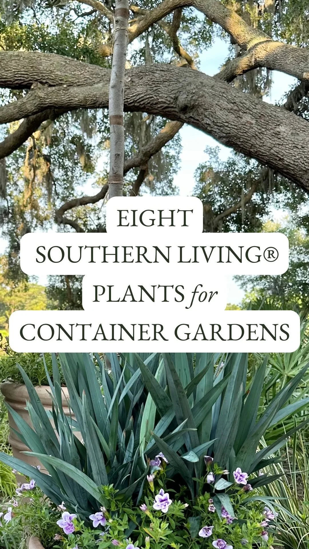 Window Boxes 101: How to Add Flower Boxes for Instant Curb Appeal ...