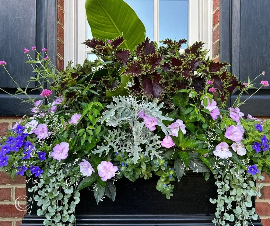 Window Boxes 101: How to Add Flower Boxes for Instant Curb Appeal ...