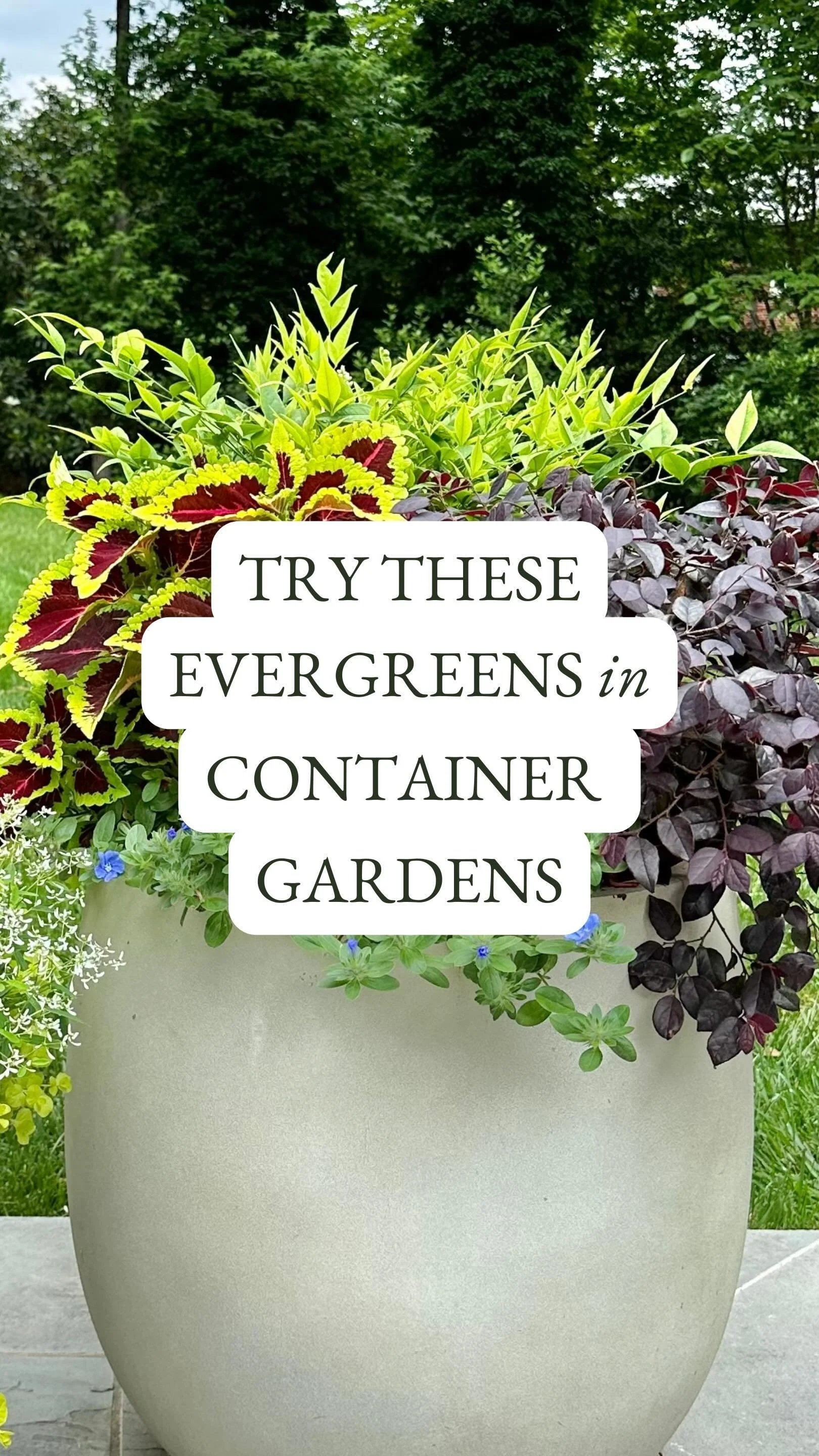 Fall-ing For Urns Fall Planter Recipe — Contained Creations