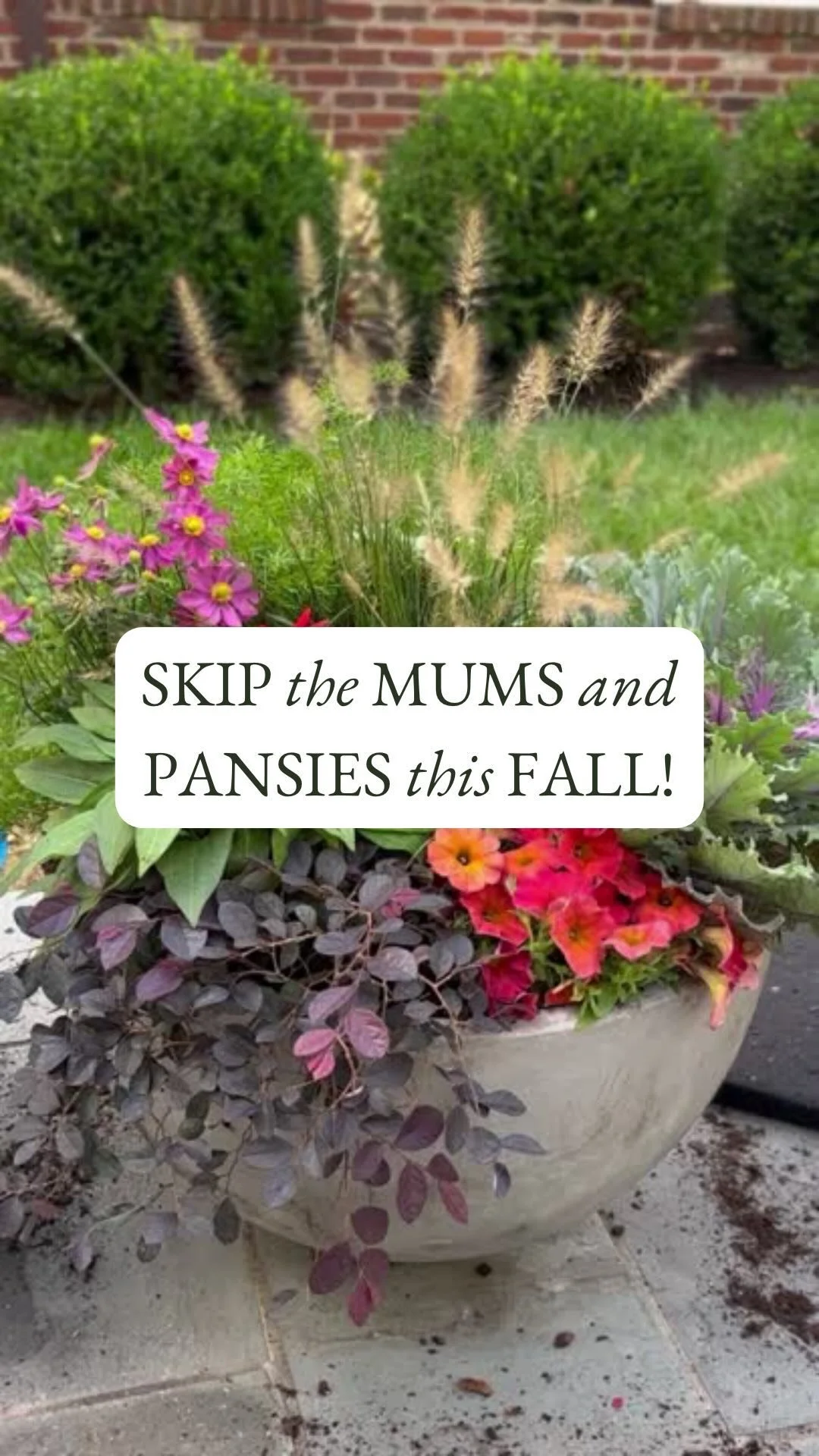 Fall Window Box — Contained Creations