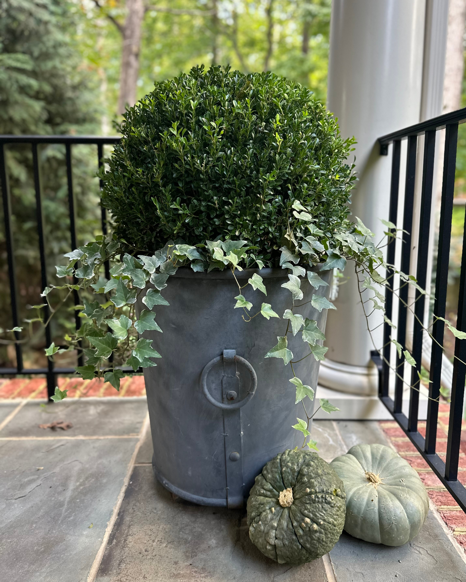 7 Outdoor Living Trends Shaping Container Gardens in 2026 — Contained ...
