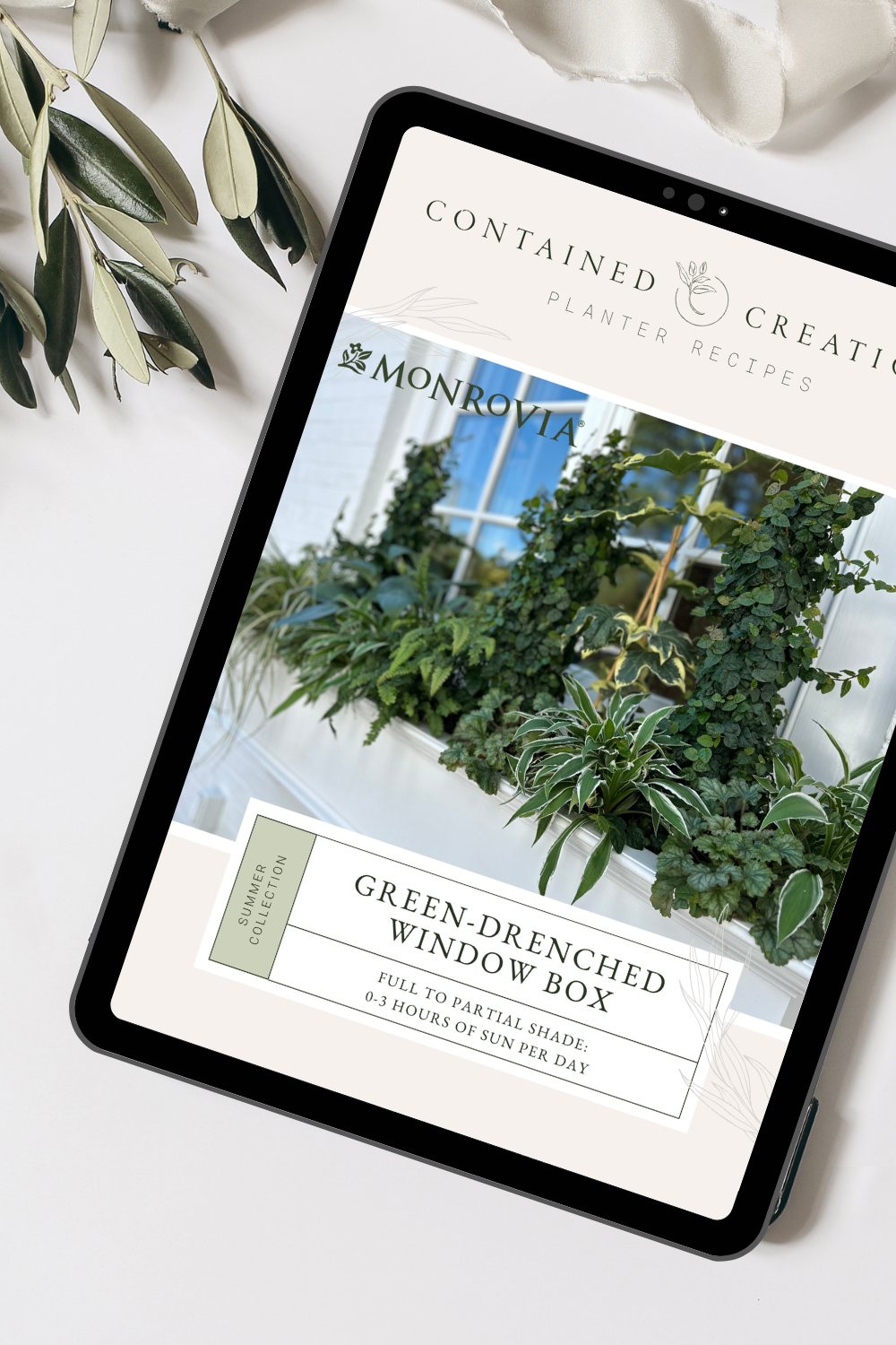 Shade Plants for Window Boxes and Porch Planters — Contained Creations