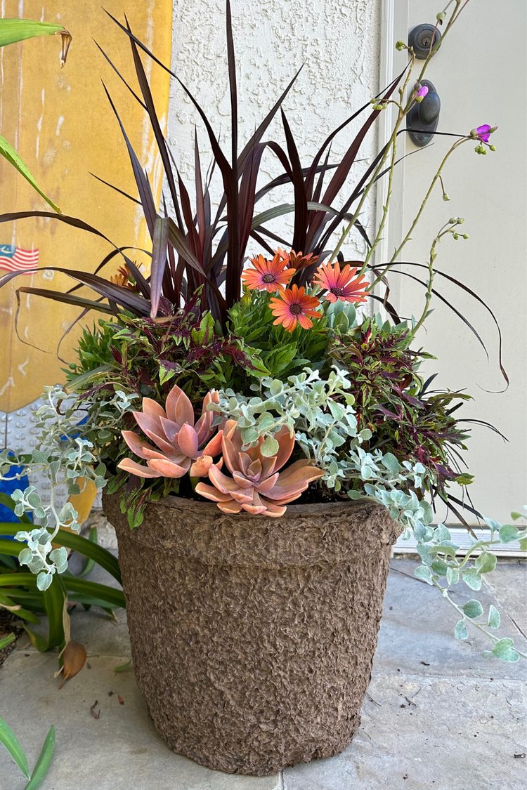 Container Garden Recipes for Every Season — Contained Creations