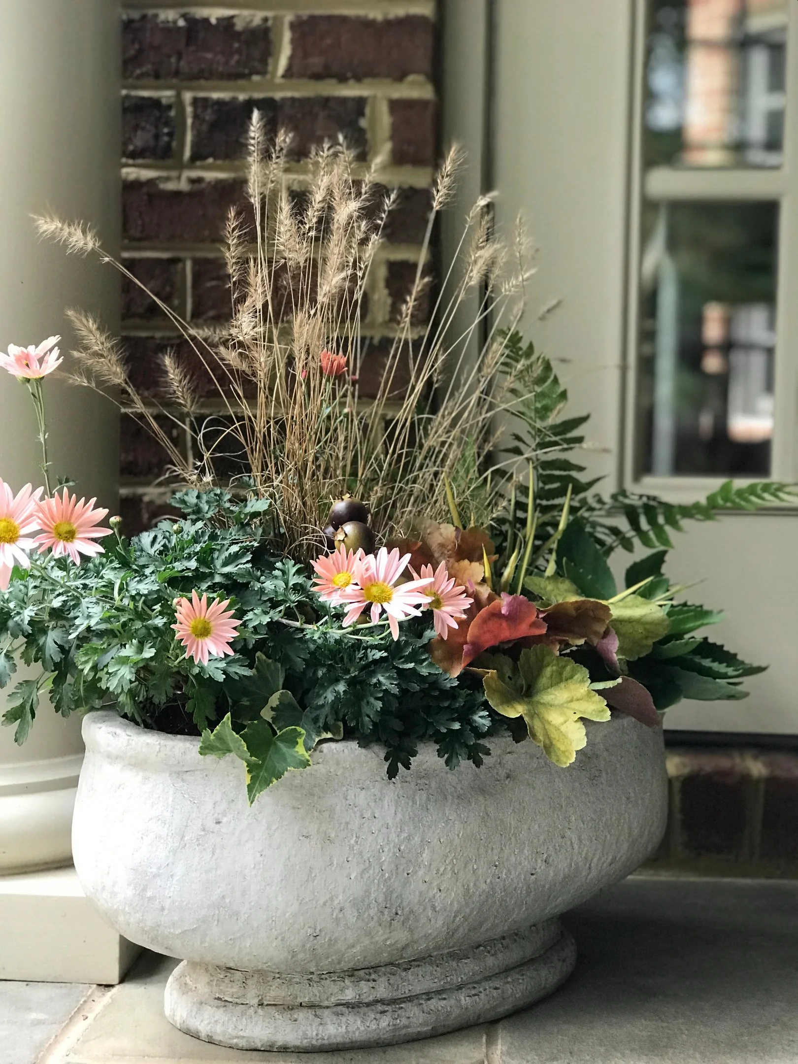 The Best Plants for Modern Meadow Container Gardens — Contained Creations