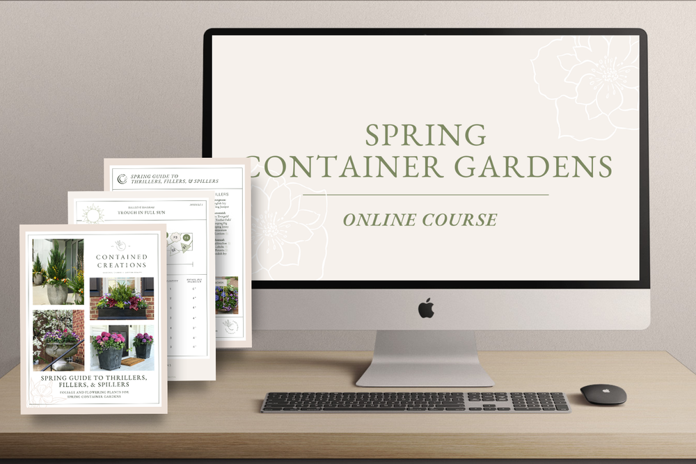 Spring Container Gardens: Master Gardening Skills — Contained Creations